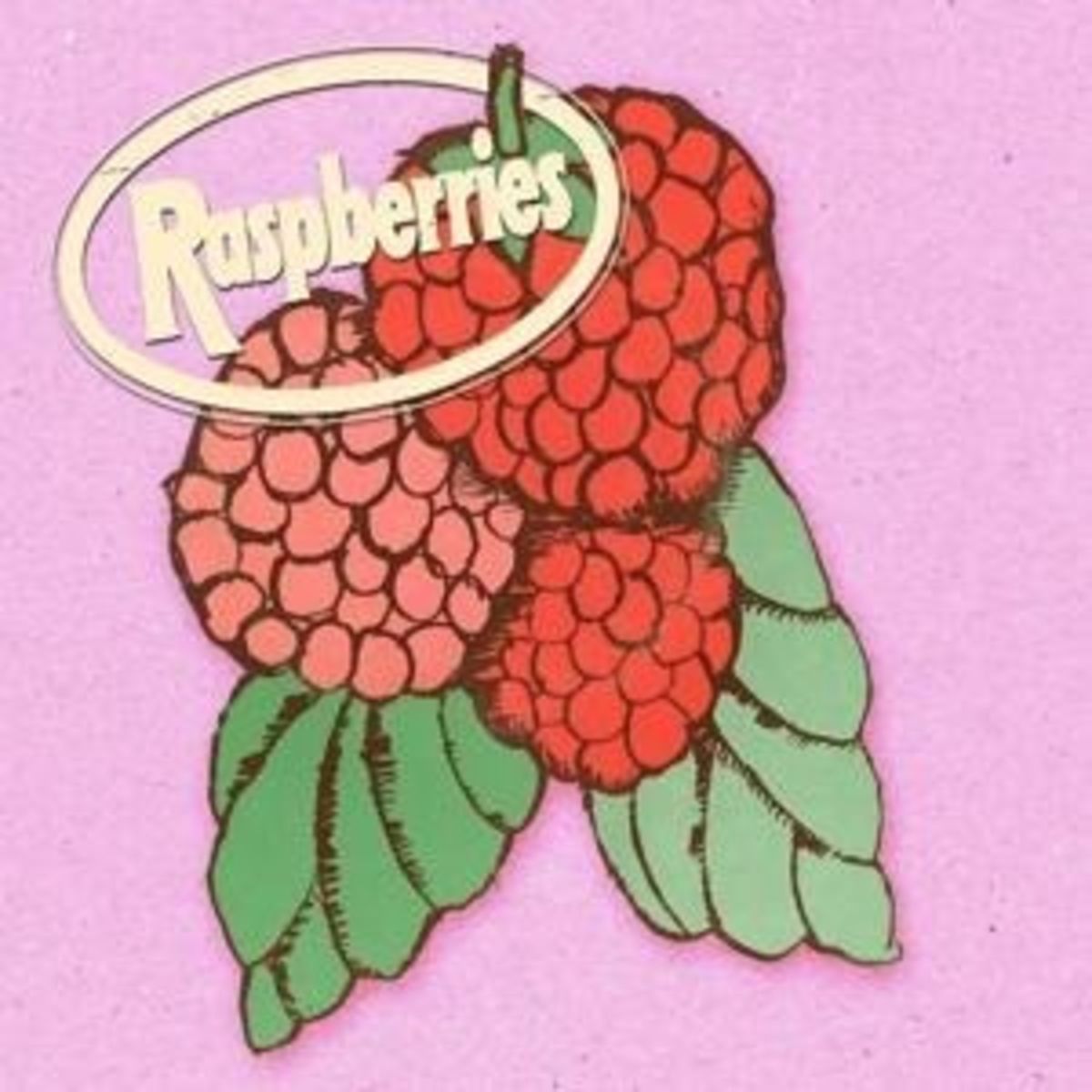 Classic Album Set von Raspberries auf CD - Musik | Thalia