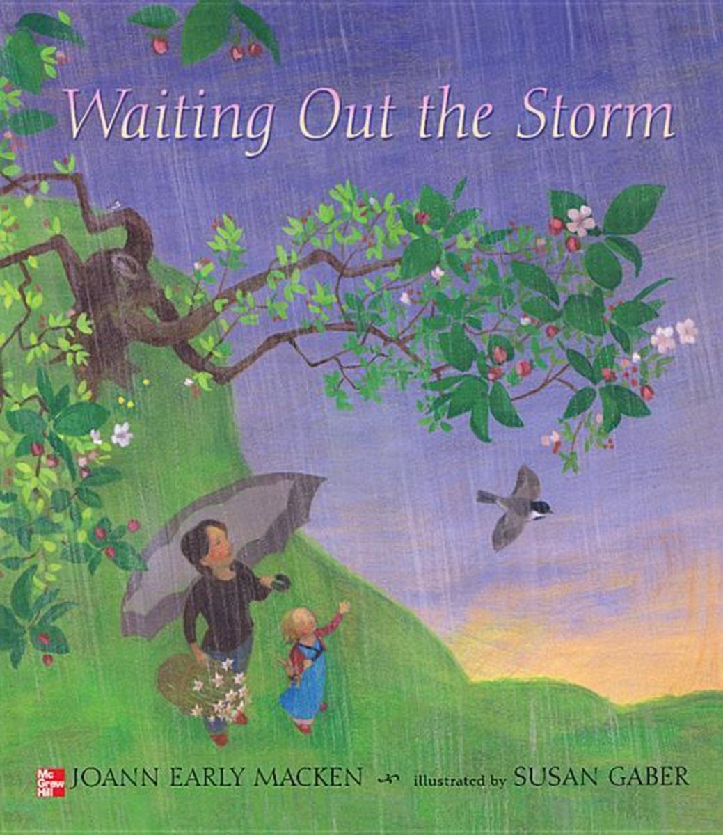 'Reading Wonders Literature Big Book: Waiting Out the Storm Grade K ...