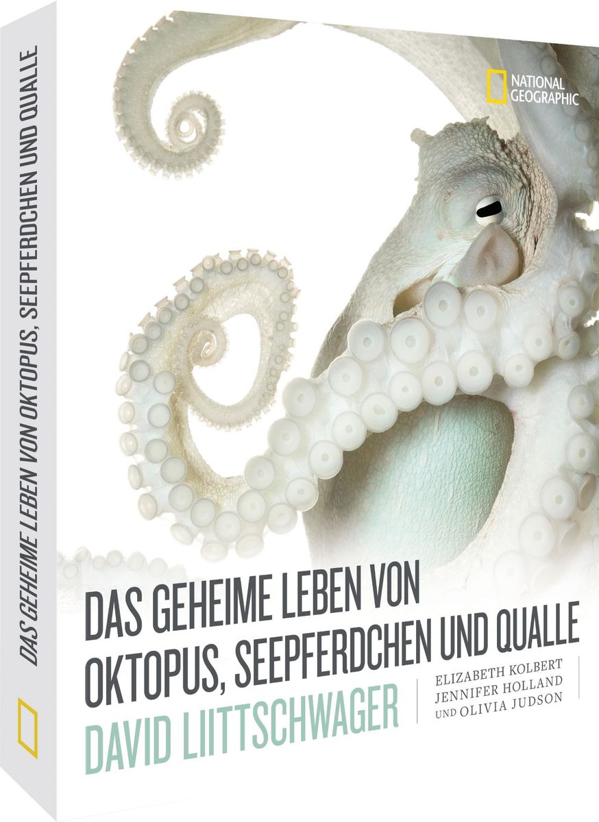 'Das geheime Leben von Oktopus, Seepferdchen und Qualle' von 'David ...