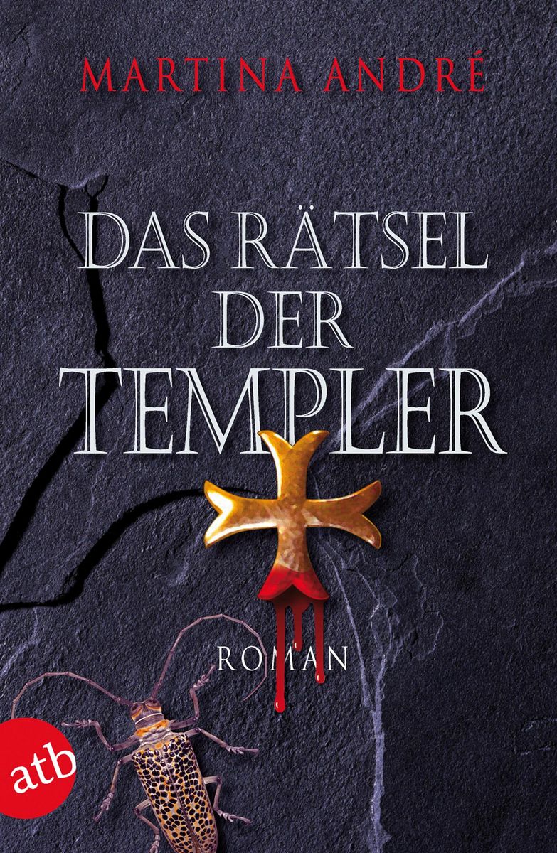 'Das Rätsel der Templer / Die Templer Bd.1' von 'Martina André' - Buch - '978-3-7466-2498-3'