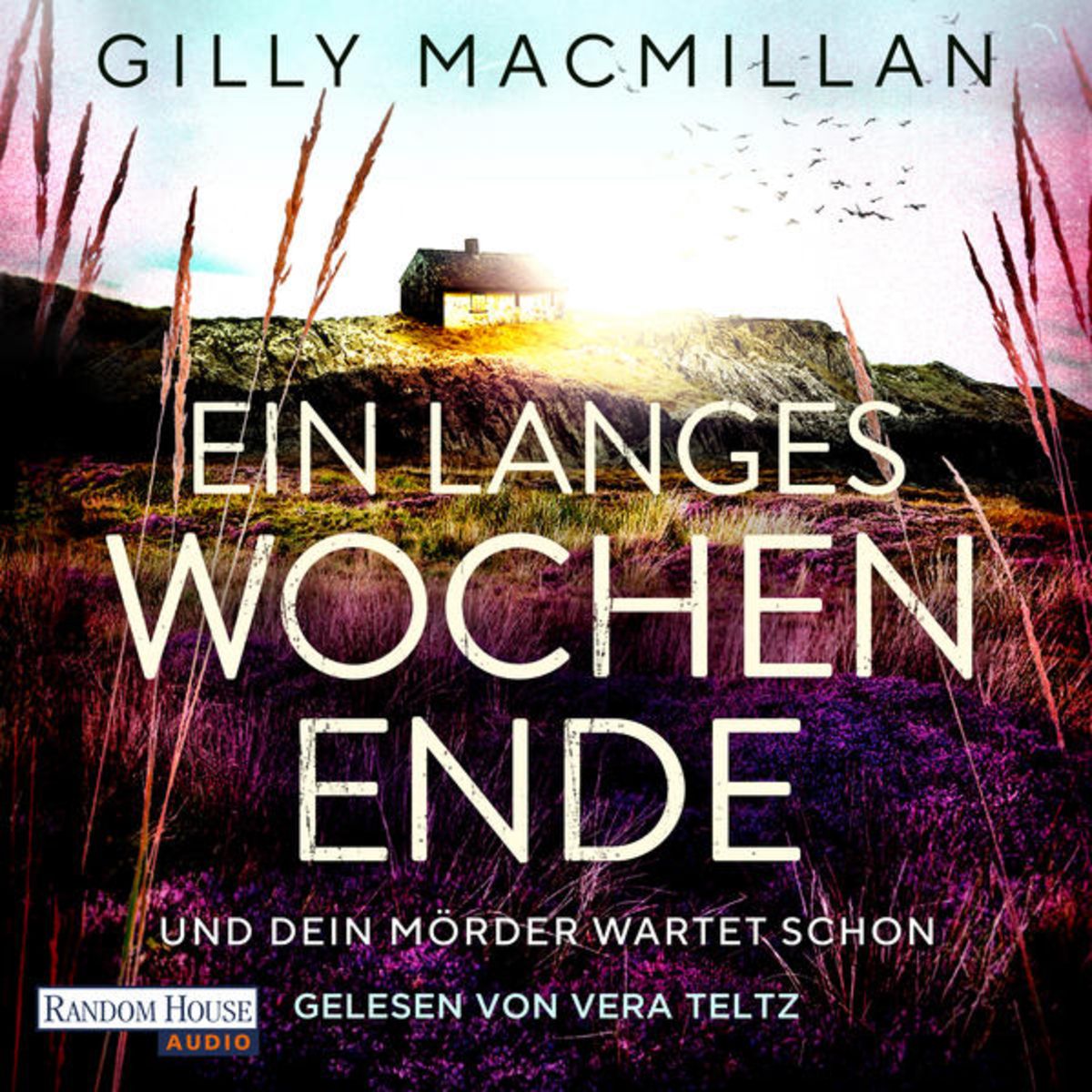 'Ein langes Wochenende' von 'Gilly Macmillan' - Hörbuch-Download
