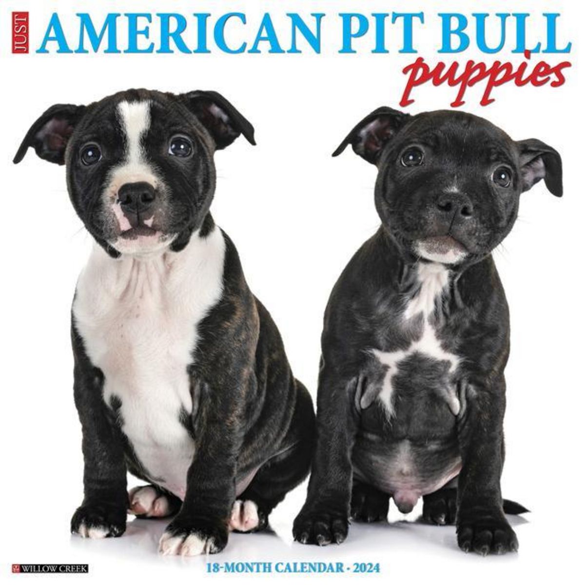 'Just American Pit Bull Terrier Puppies 2024 12 X 12 Wall Calendar ...