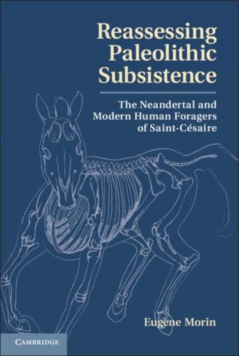 'Reassessing Paleolithic Subsistence' von 'Eugene Morin' - eBook
