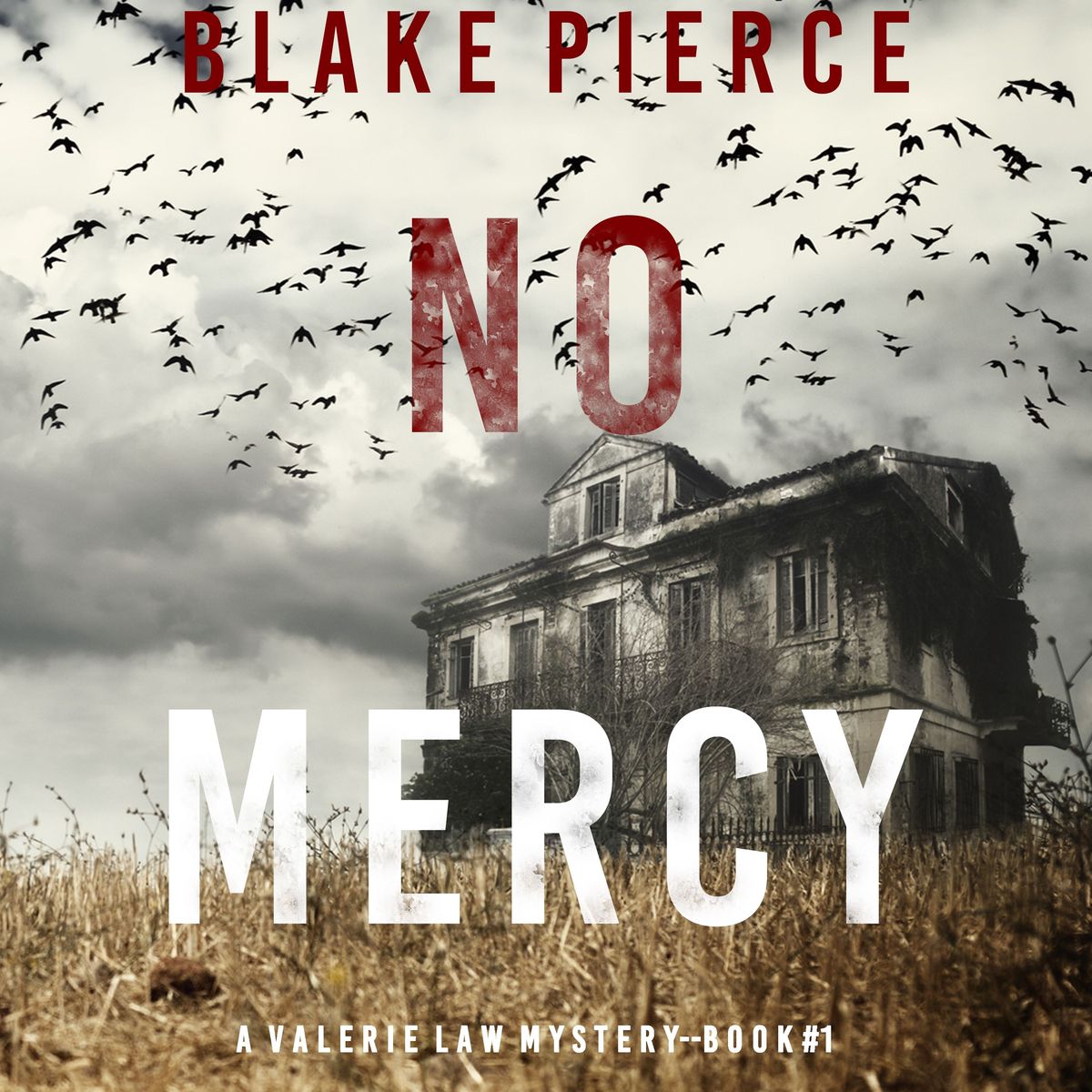No Mercy (A Valerie Law FBI Suspense Thriller—Book 1) von Blake Pierce ...