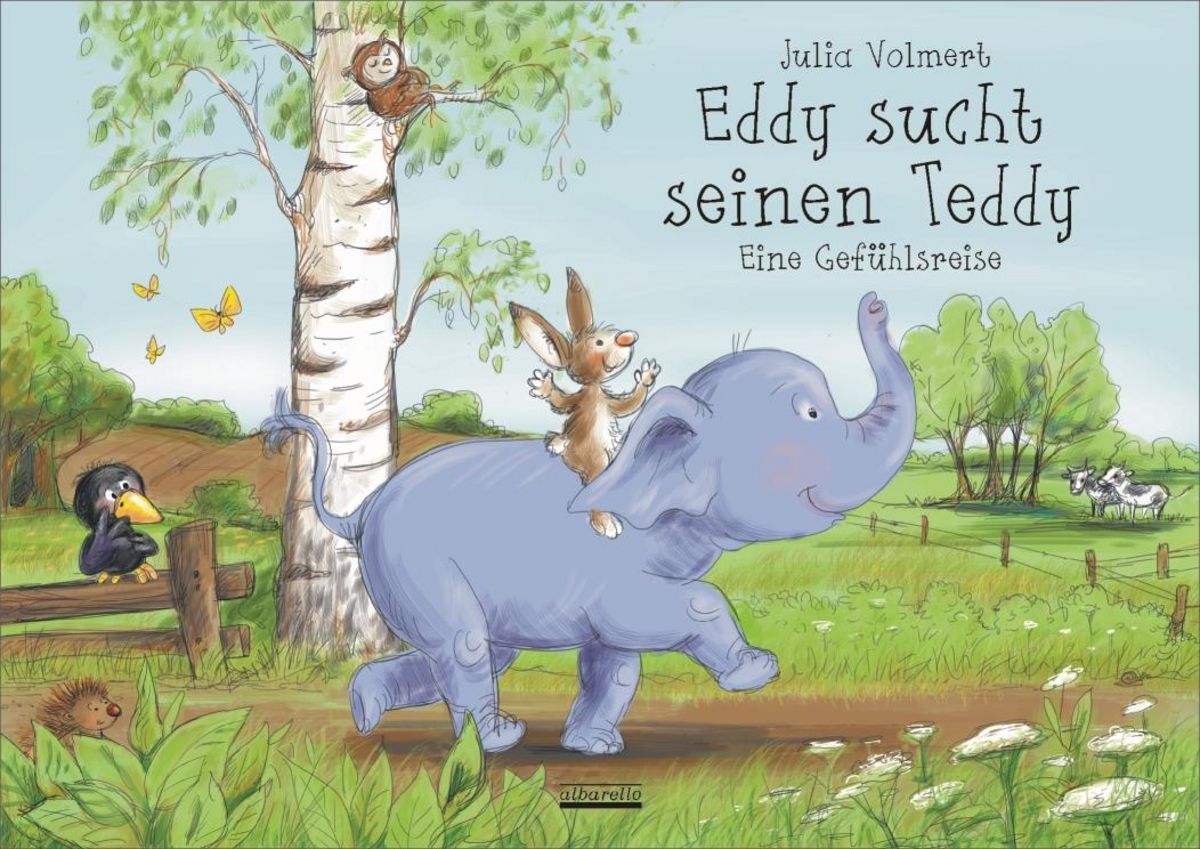 'Eddy sucht seinen Teddy' von 'Julia Volmert' - Buch - '978-3-86559-098-5'