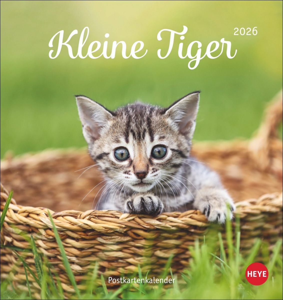 Katzen Postkartenkalender Kleine Tiger 2026 - Athesia | Thalia