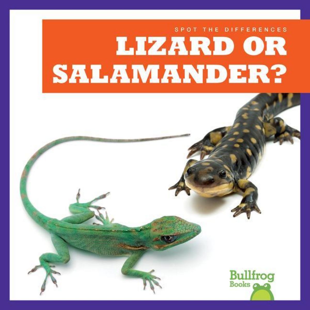 'Lizard or Salamander?' von 'Jamie Rice' - 'Gebundene Ausgabe'