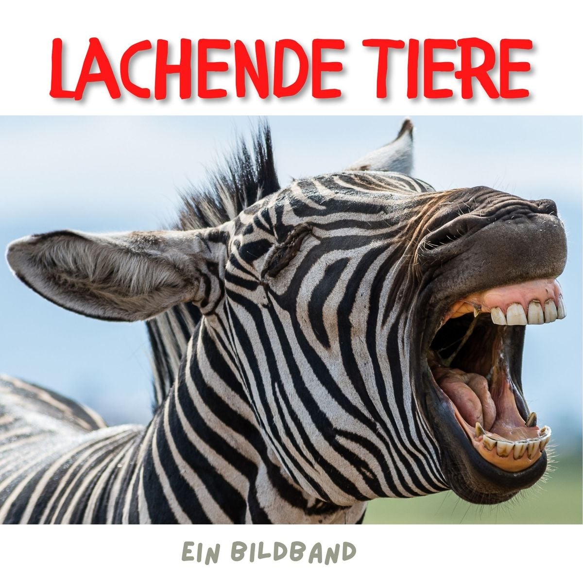 "Lachende Tiere" online kaufen