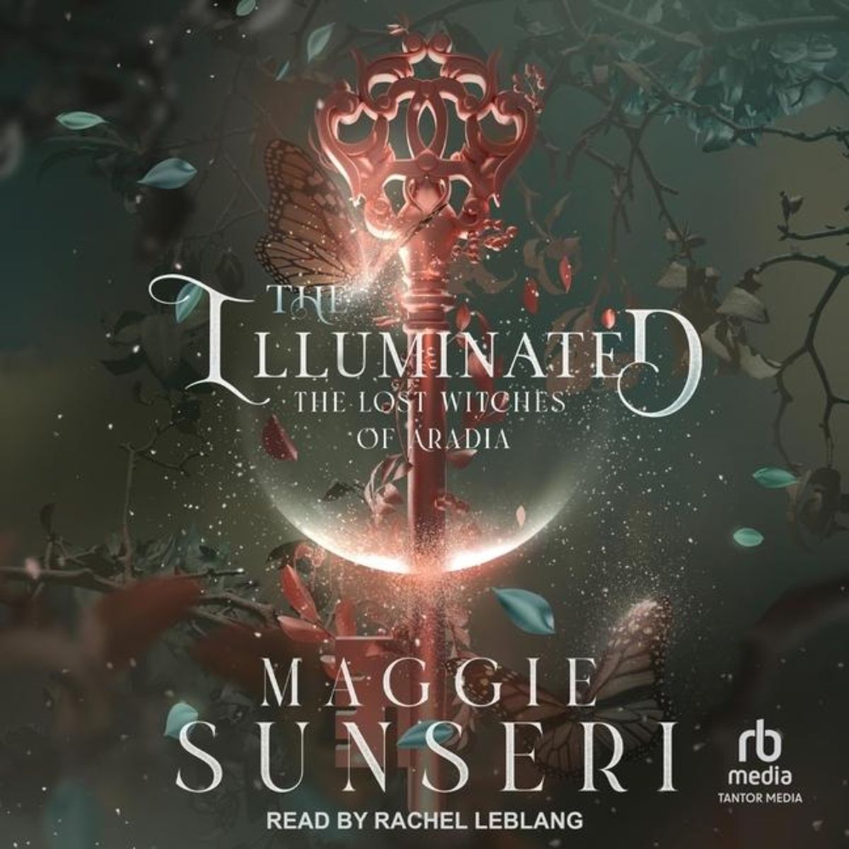 'The Illuminated' von 'Maggie Sunseri' - Hörbuch