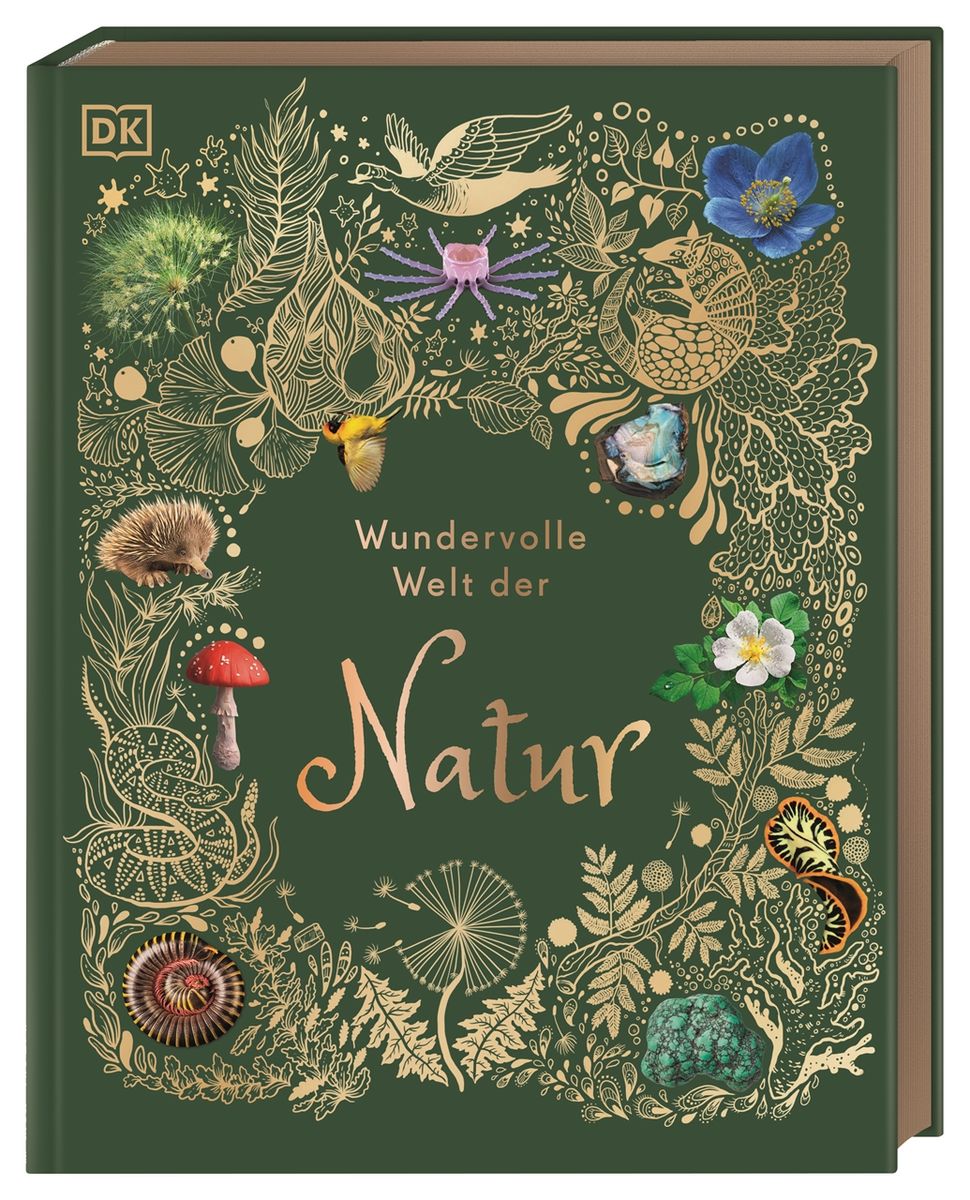 Wundervolle Welt der Natur von Ben Hoare - Buch | Thalia