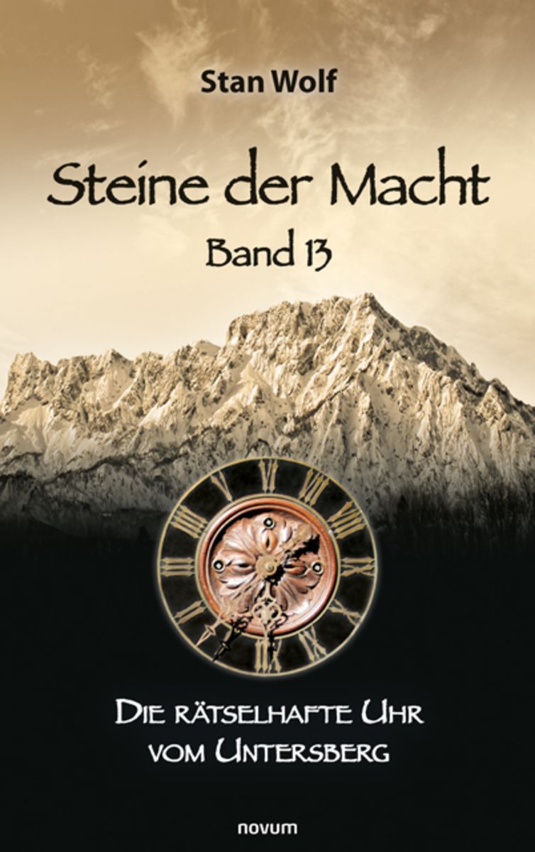 'Steine der Macht – Band 13' von 'Stan Wolf' - Buch - '978-3-99131-234-5'