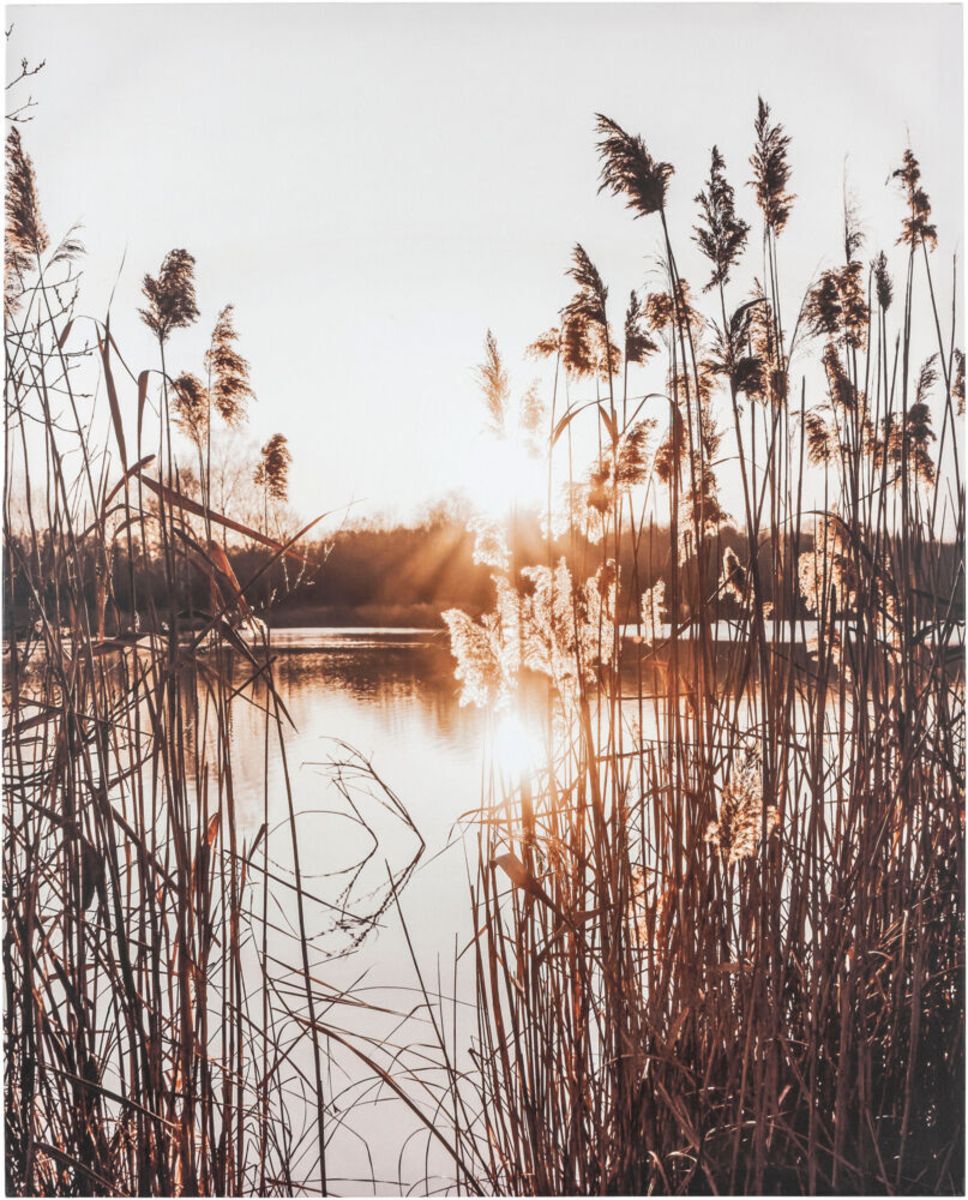 Wandbild "Seeblick" 80x100 cm online bestellen | Thalia