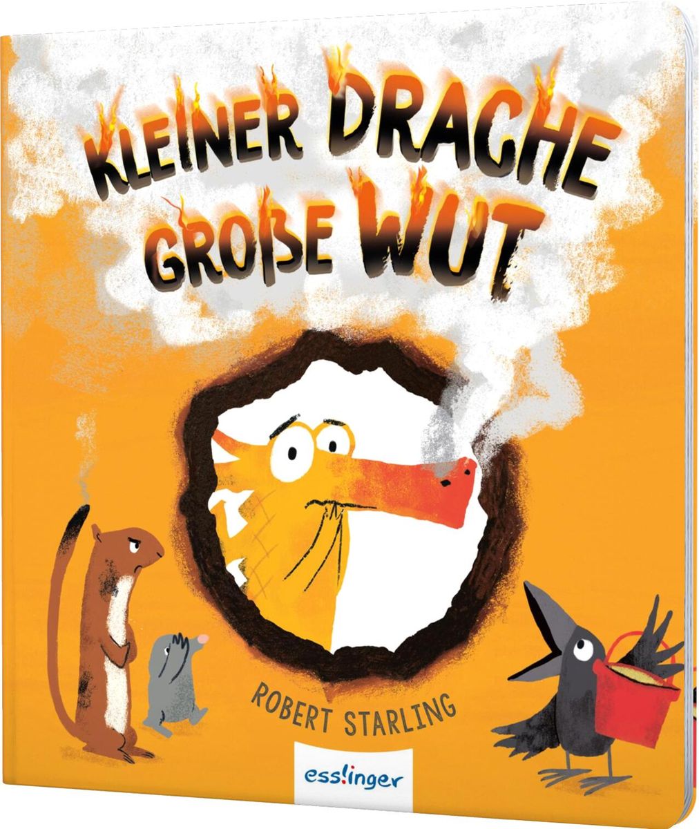 'Kleiner Drache Finn: Kleiner Drache, große Wut' von 'Robert Starling ...