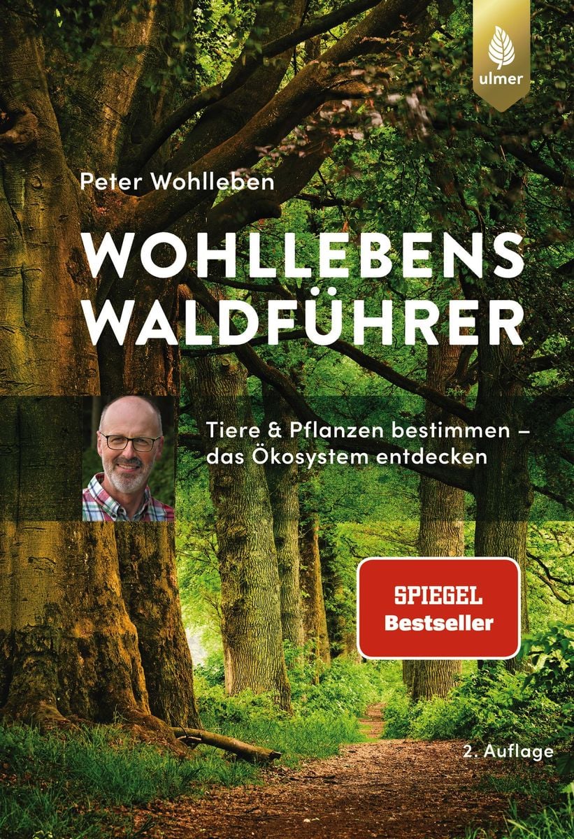"Wohllebens Waldführer" online kaufen | Orell Füssli
