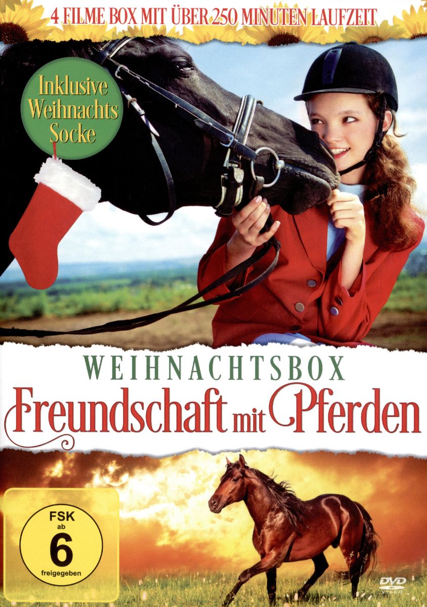 Weihnachtsbox - Freundschaft mit Pferden inkl. Weihnachtssocke von ...