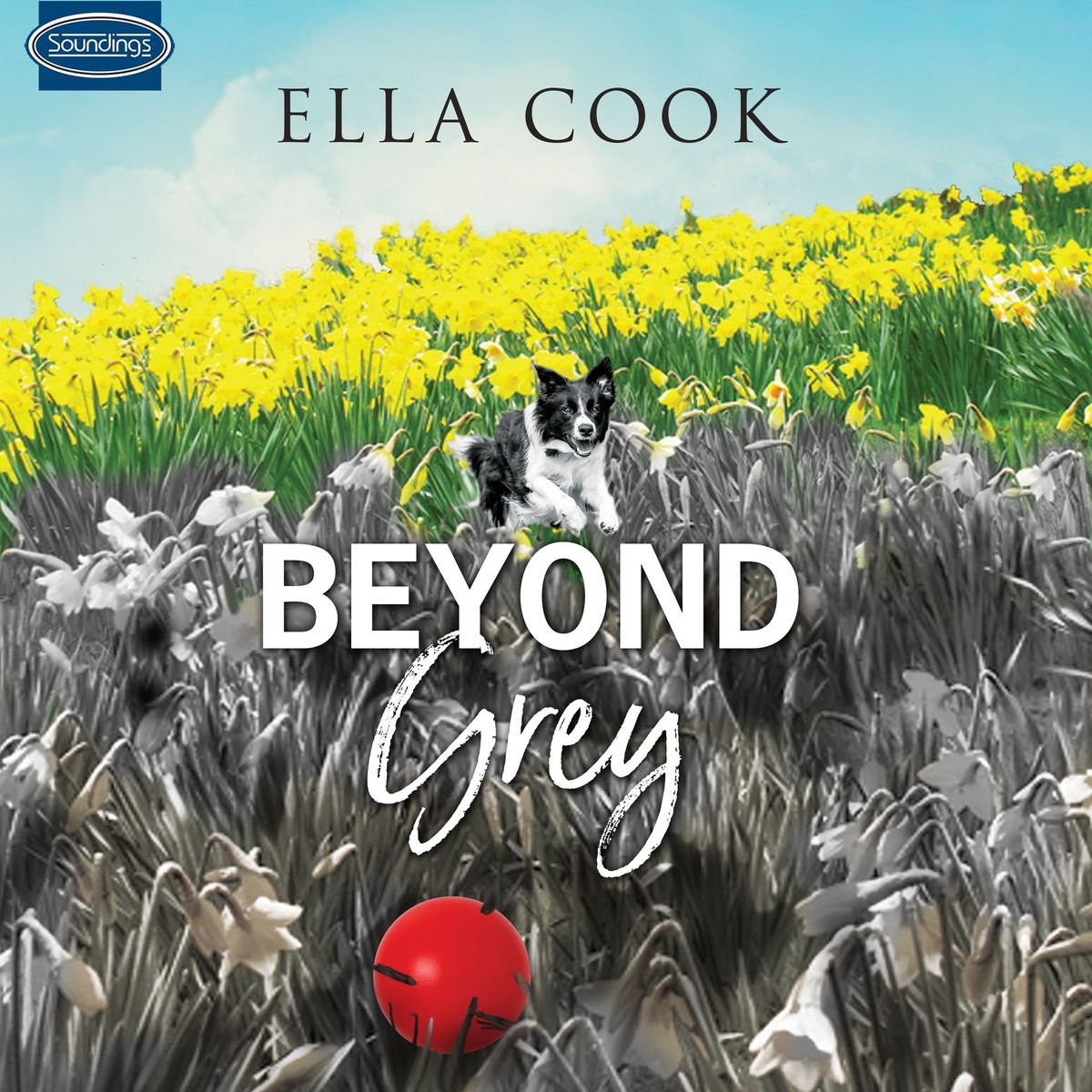 'Beyond Grey' von 'Ella Cook' - Hörbuch-Download