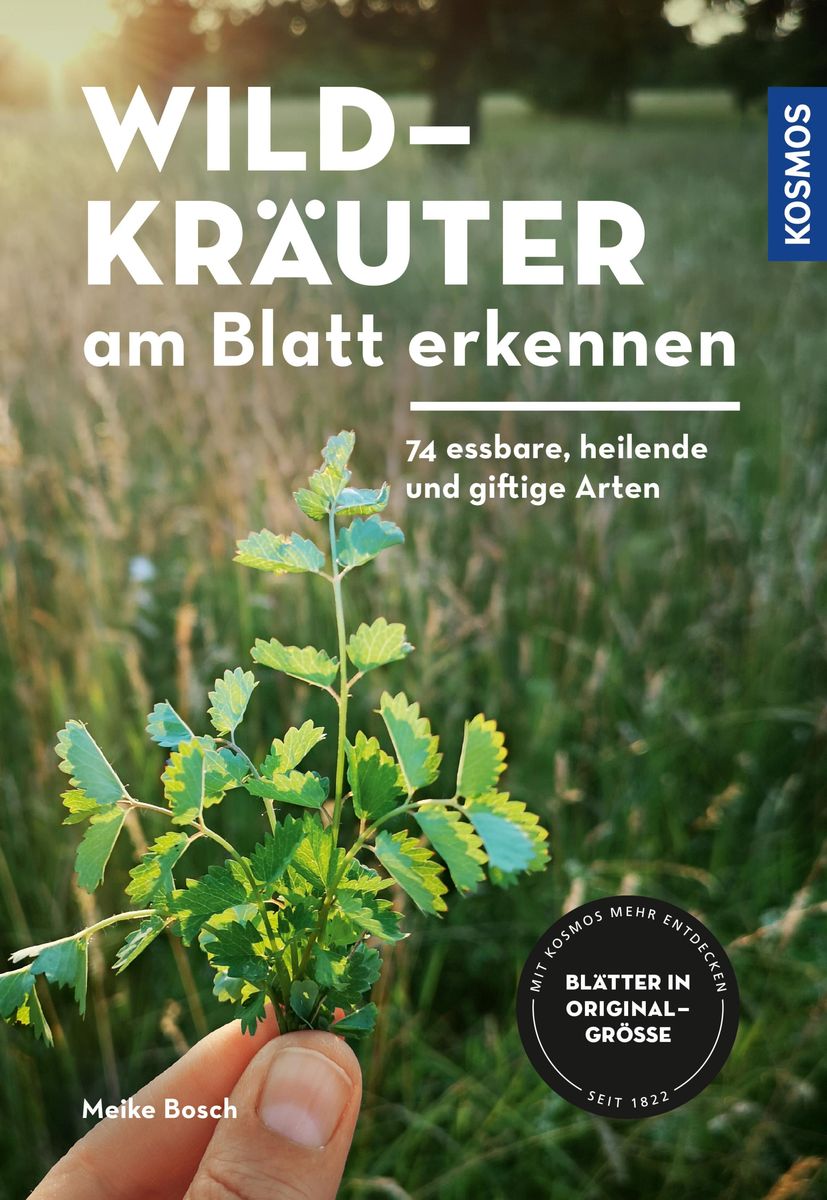 Wildkräuter am Blatt erkennen von Meike Bosch - eBook | Thalia