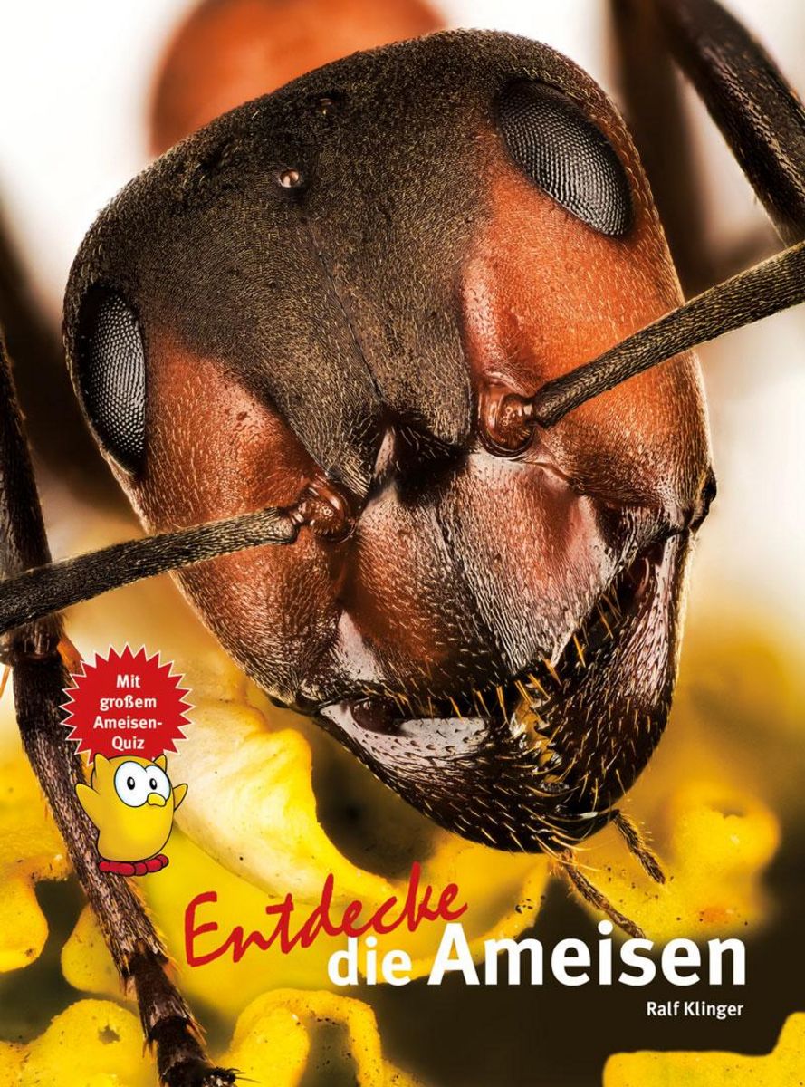 Buch Uber Ameisen