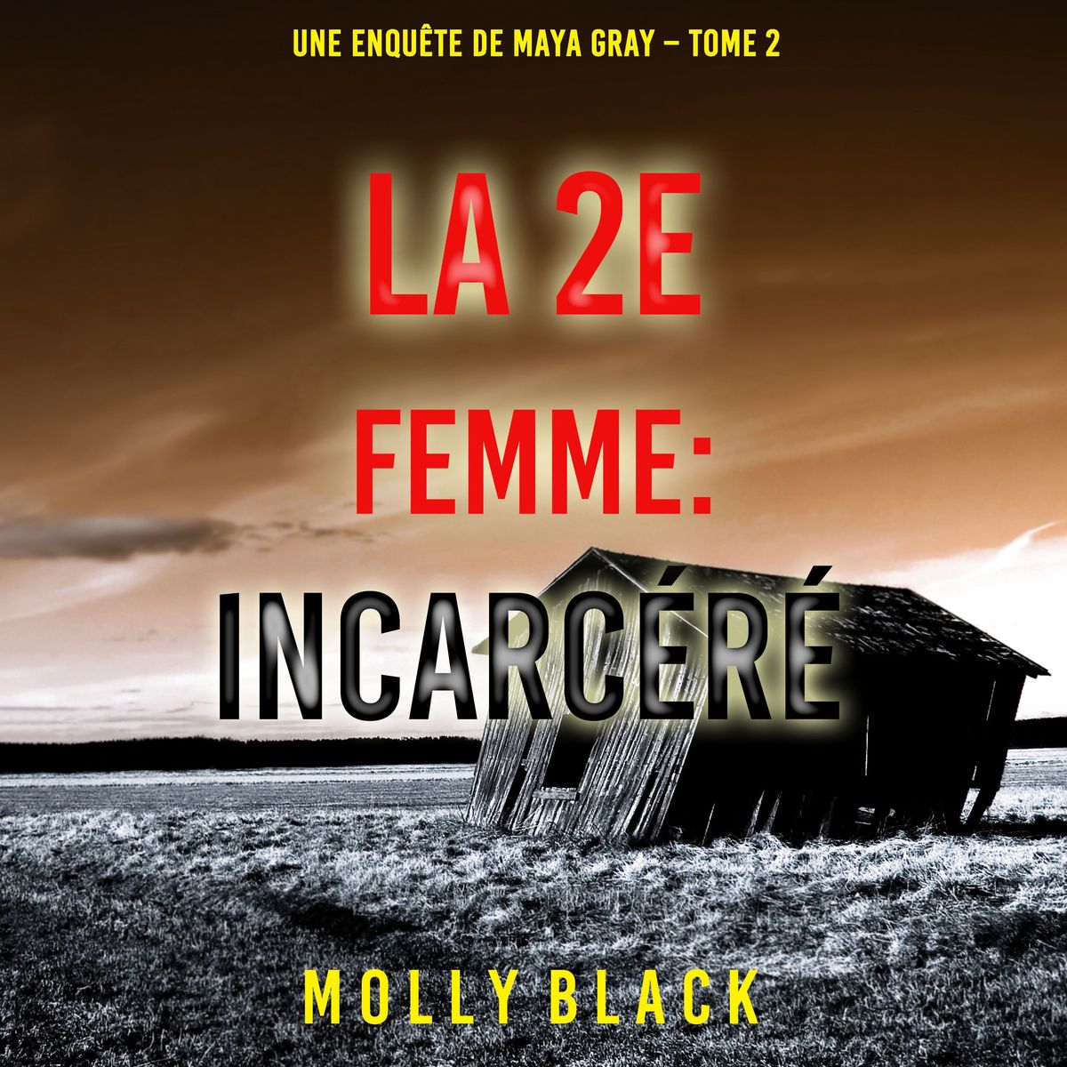 'La 2e Femme : Incarcéré (Une enquête de Maya Gray – Tome 2)' von 'Molly Black' - Hörbuch-Download