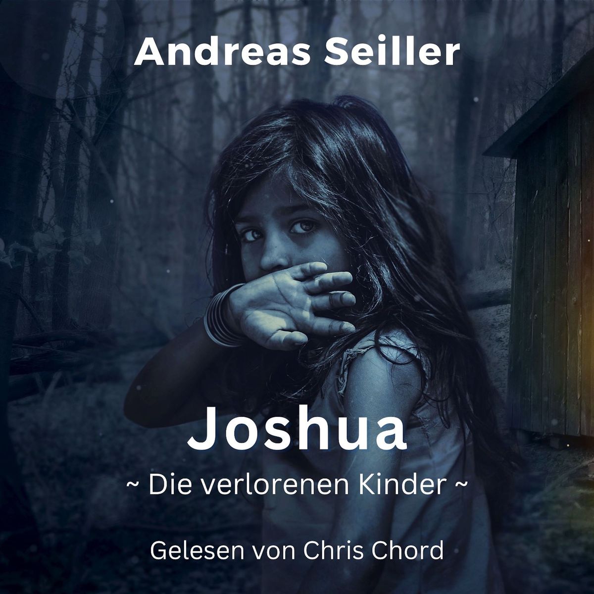 Joshua von Andreas Seiller - Hörbuch-Download | Thalia