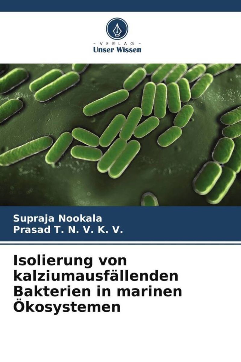 'Isolierung von kalziumausfällenden Bakterien in marinen Ökosystemen ...