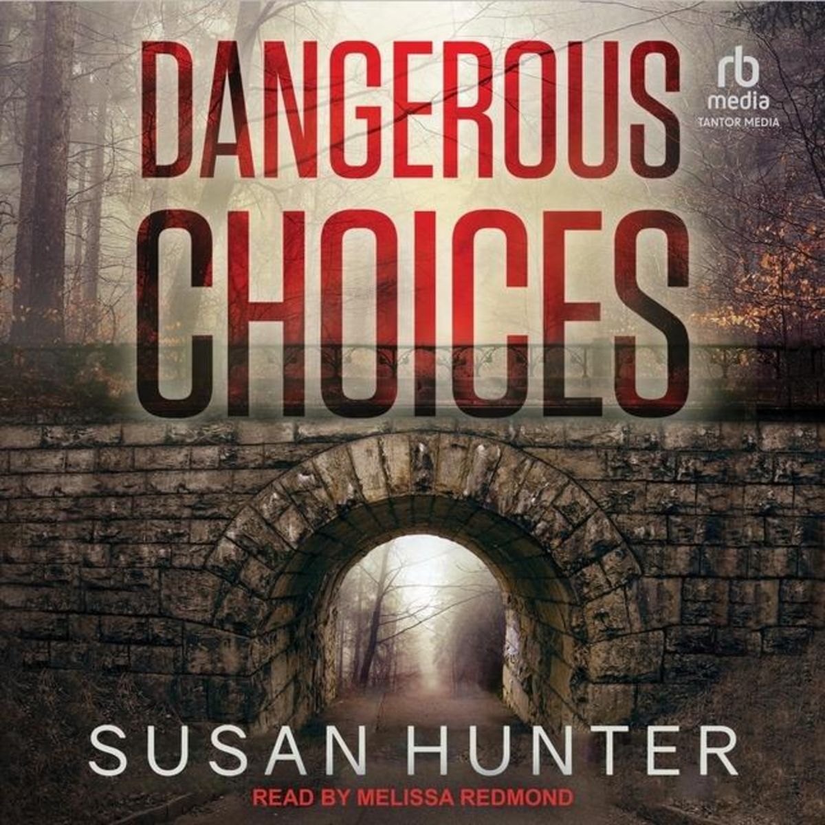 'Dangerous Choices' von 'Susan Hunter' - Hörbuch