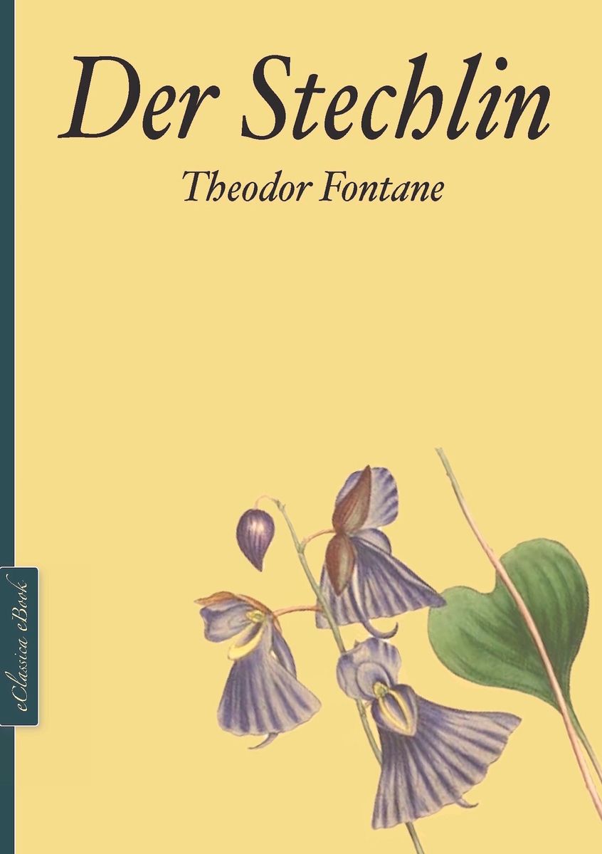 'Theodor Fontane: Der Stechlin | Sonderausgabe >200 Jahre Fontane