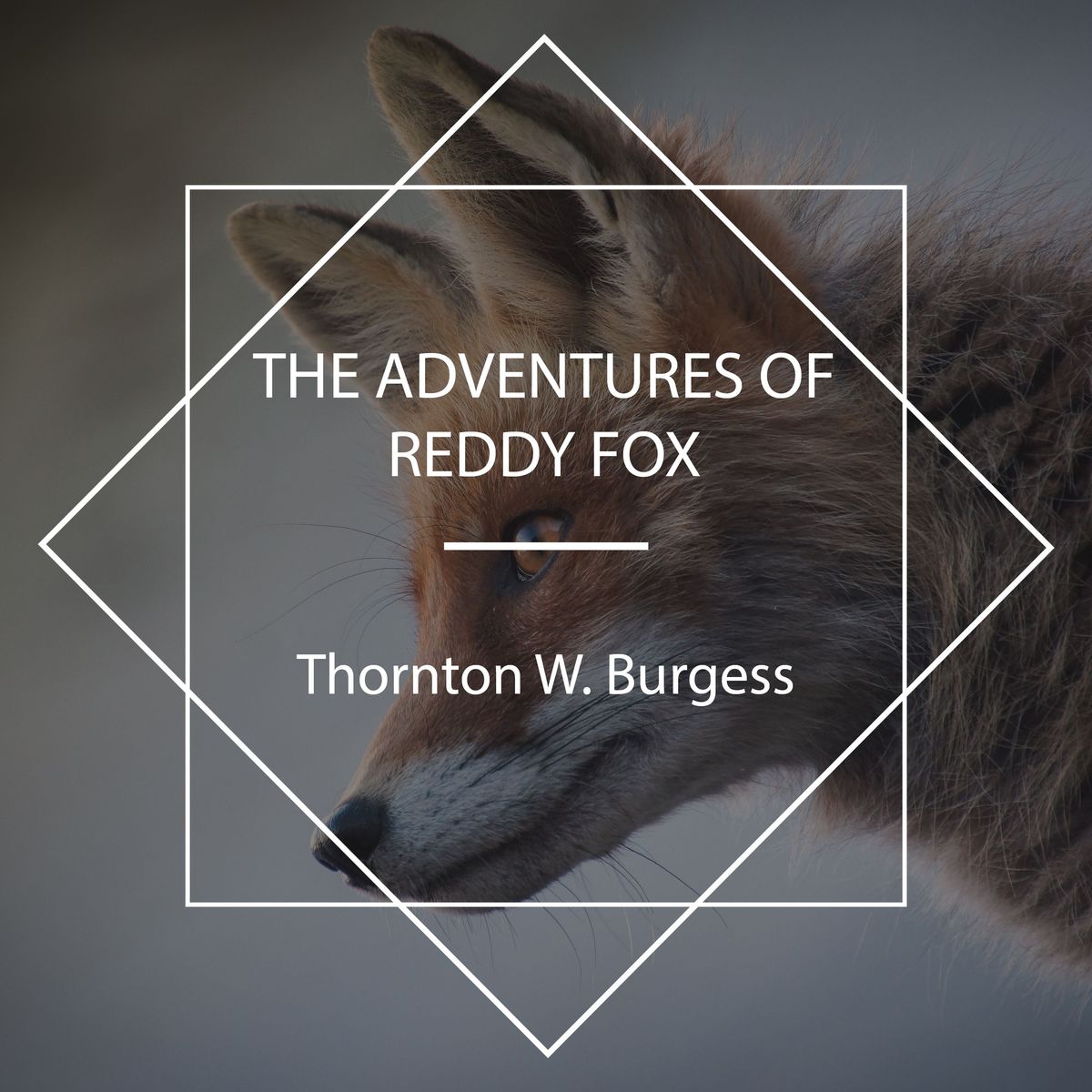 'The Adventures of Reddy Fox' von 'Thornton W. Burgess' - Hörbuch-Download