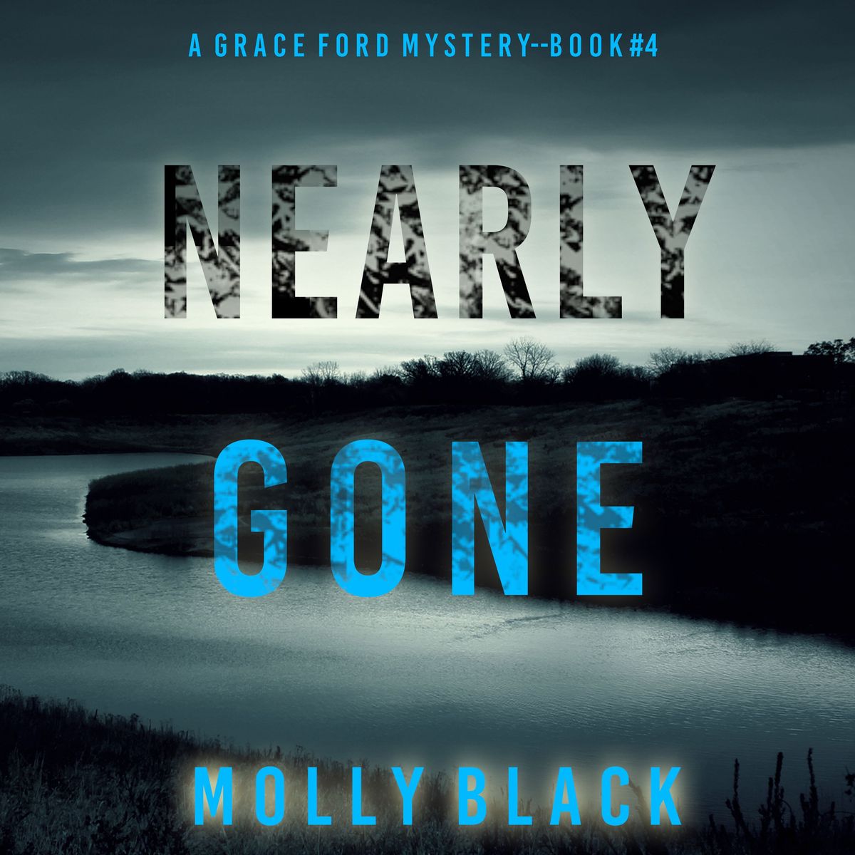 Nearly Gone (A Grace Ford FBI Thriller—Book Four) von Molly Black ...