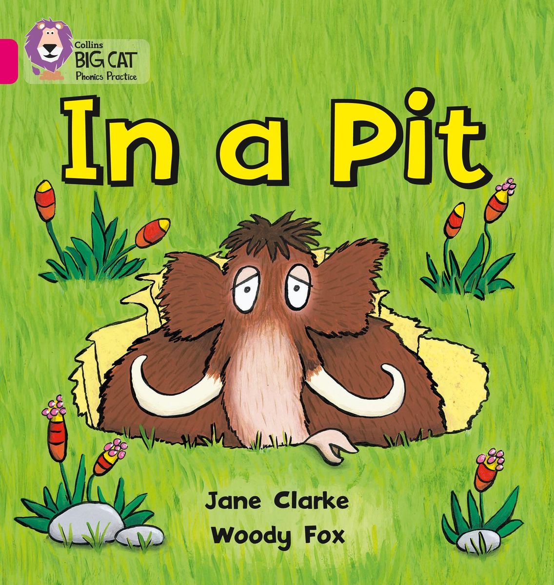 'In a Pit' - 'Englisch' Schulbuch - '978-0-00-733488-9'