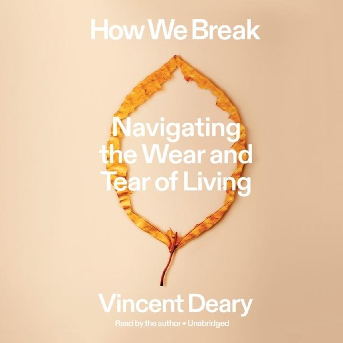 'How We Break' von 'Vincent Deary' - Hörbuch