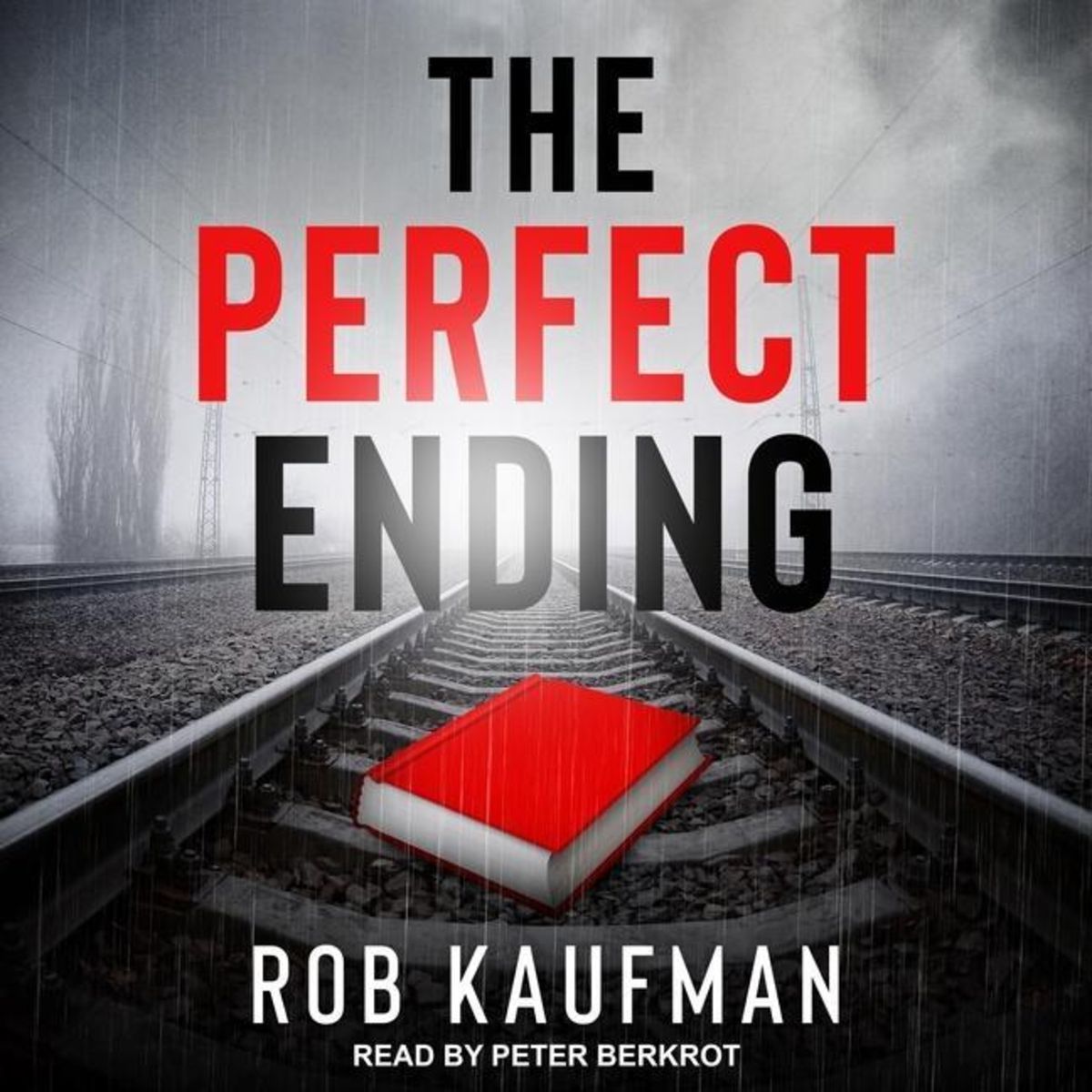 'The Perfect Ending' von 'Rob Kaufman' - Hörbuch