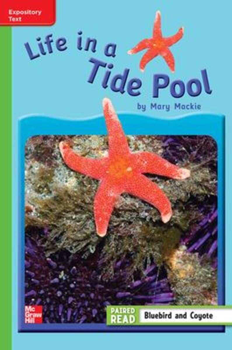 'Reading Wonders Leveled Reader Life in a Tide Pool: Beyond Unit 4 Week 3 Grade 3' - 'Englisch ...