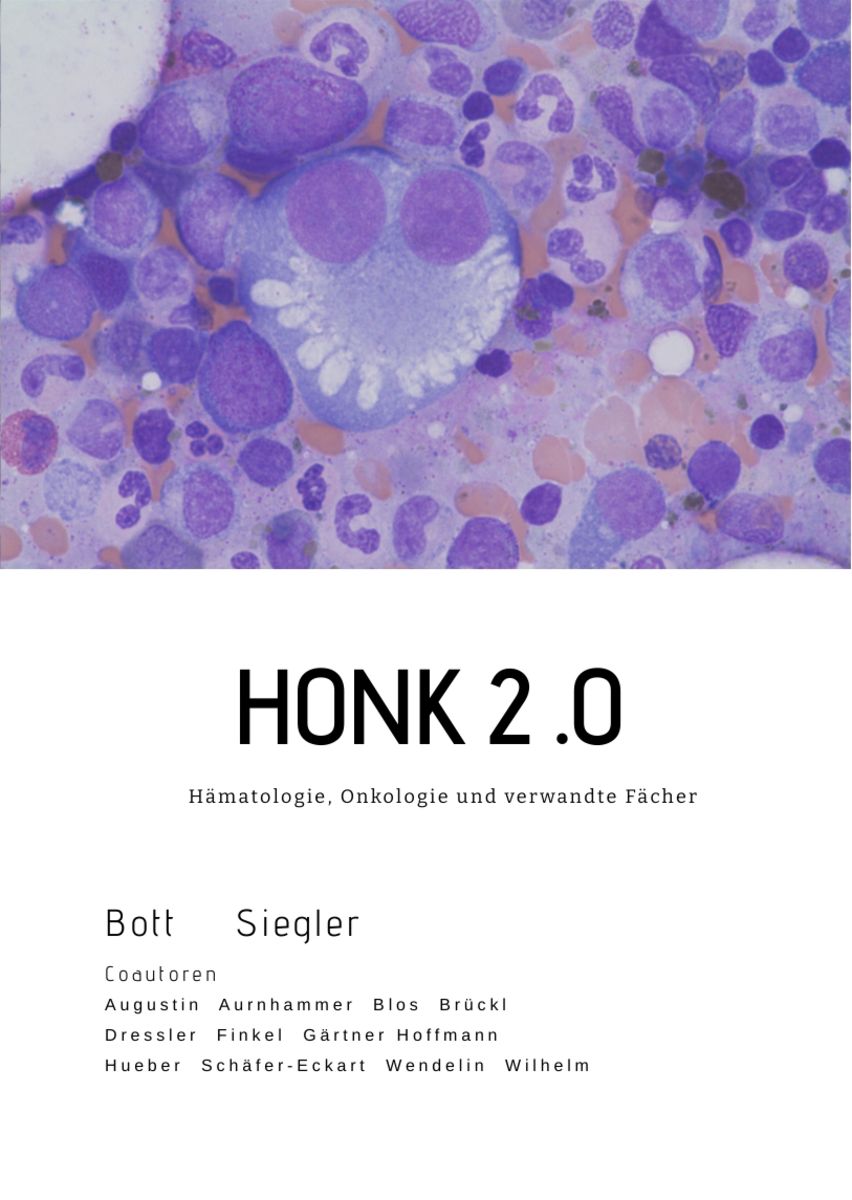 'HONK' von 'Alexander Bott' - Buch - '978-3-347-52753-9'