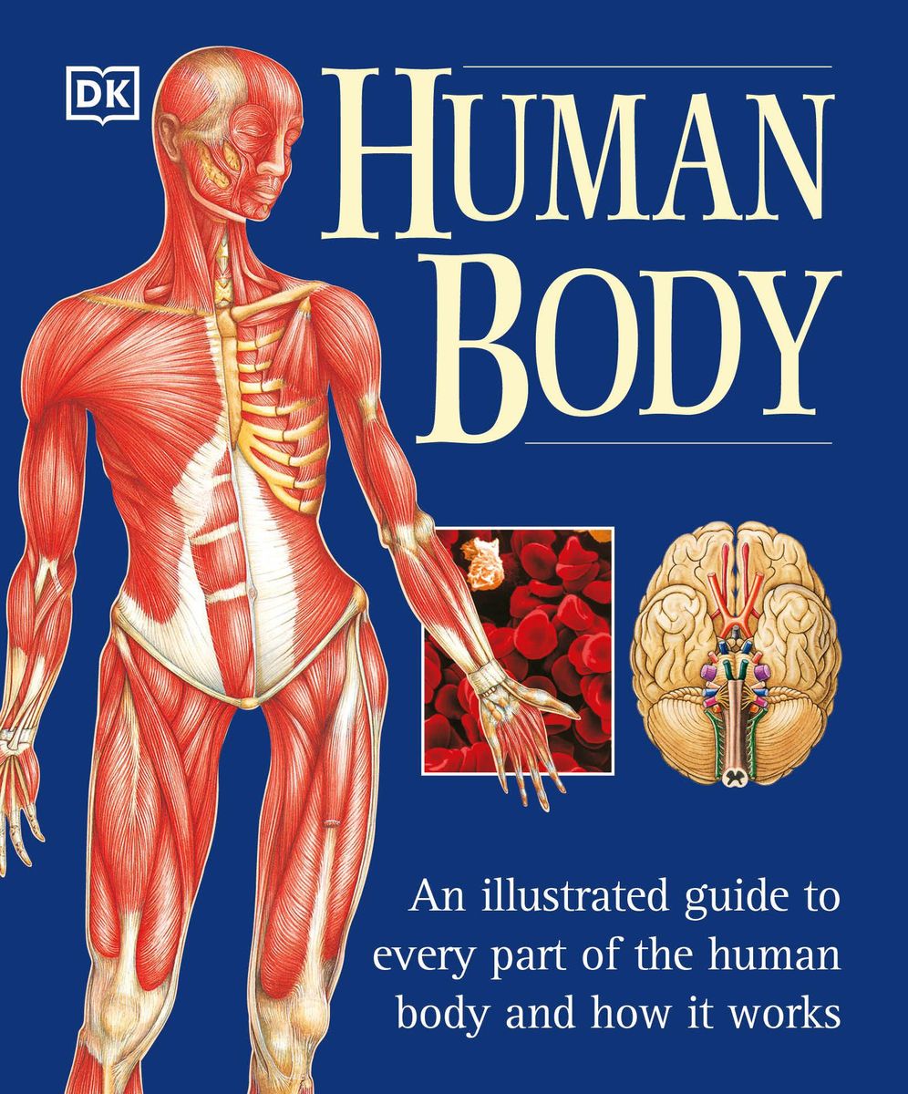 'The Human Body' von 'Martyn Page' - 'Taschenbuch' - '978-0-7894-7988-4'