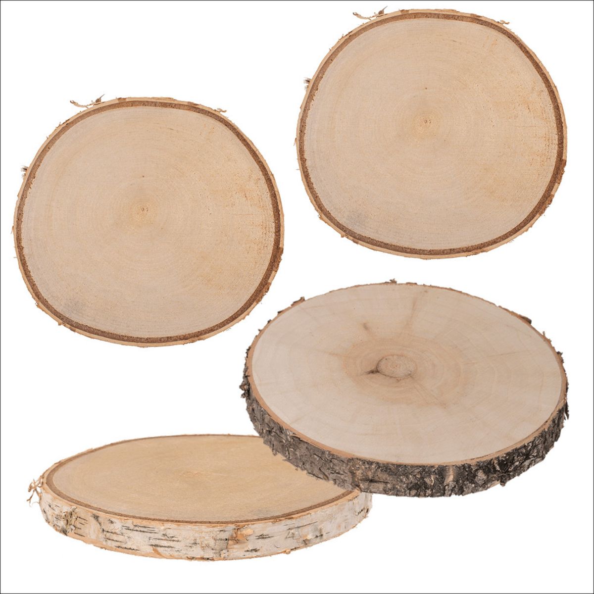 Holz-Deko-Baumscheiben, 4er Set online bestellen | Thalia