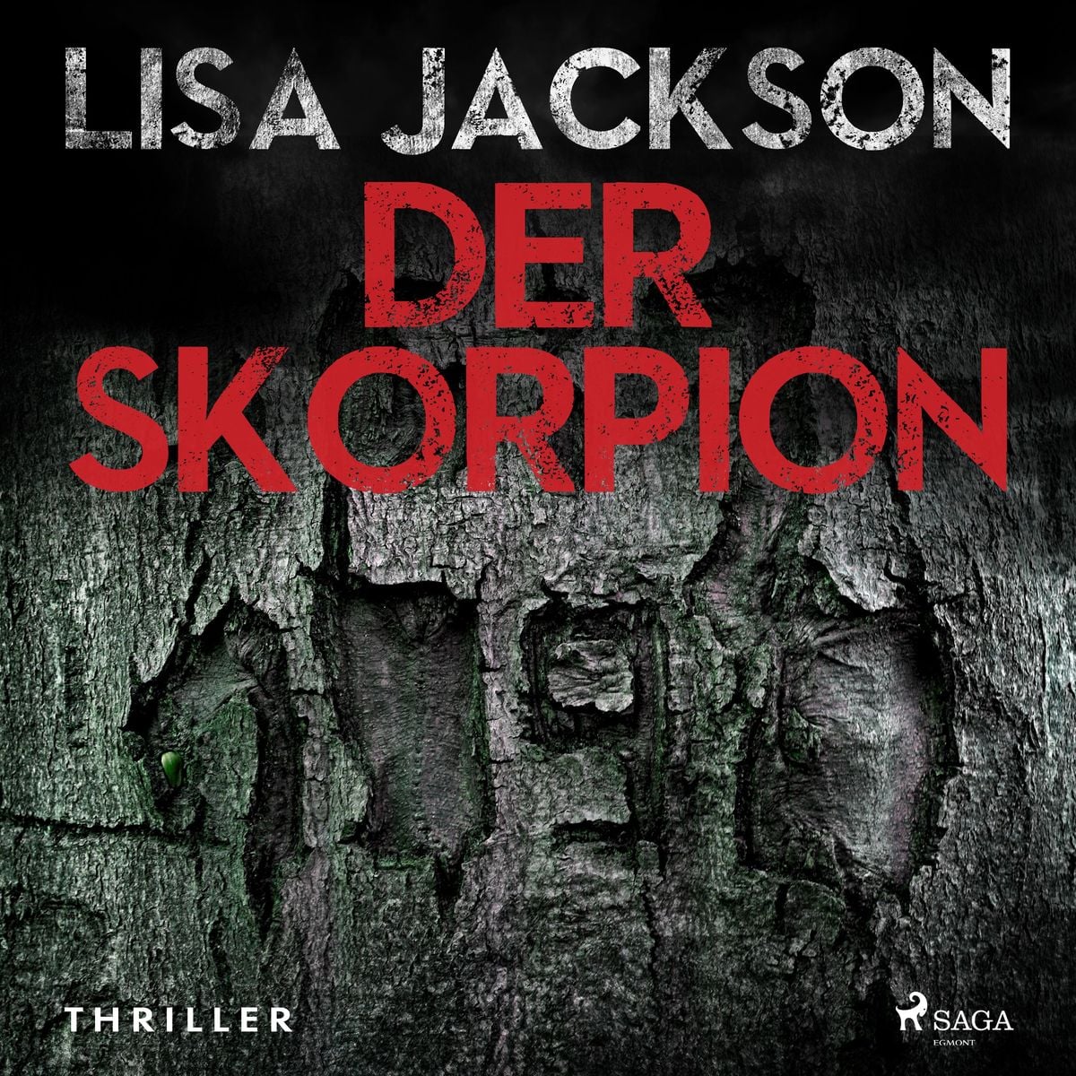 Der Skorpion: Thriller (Ein Fall für Alvarez und Pescoli 1) von Lisa ...
