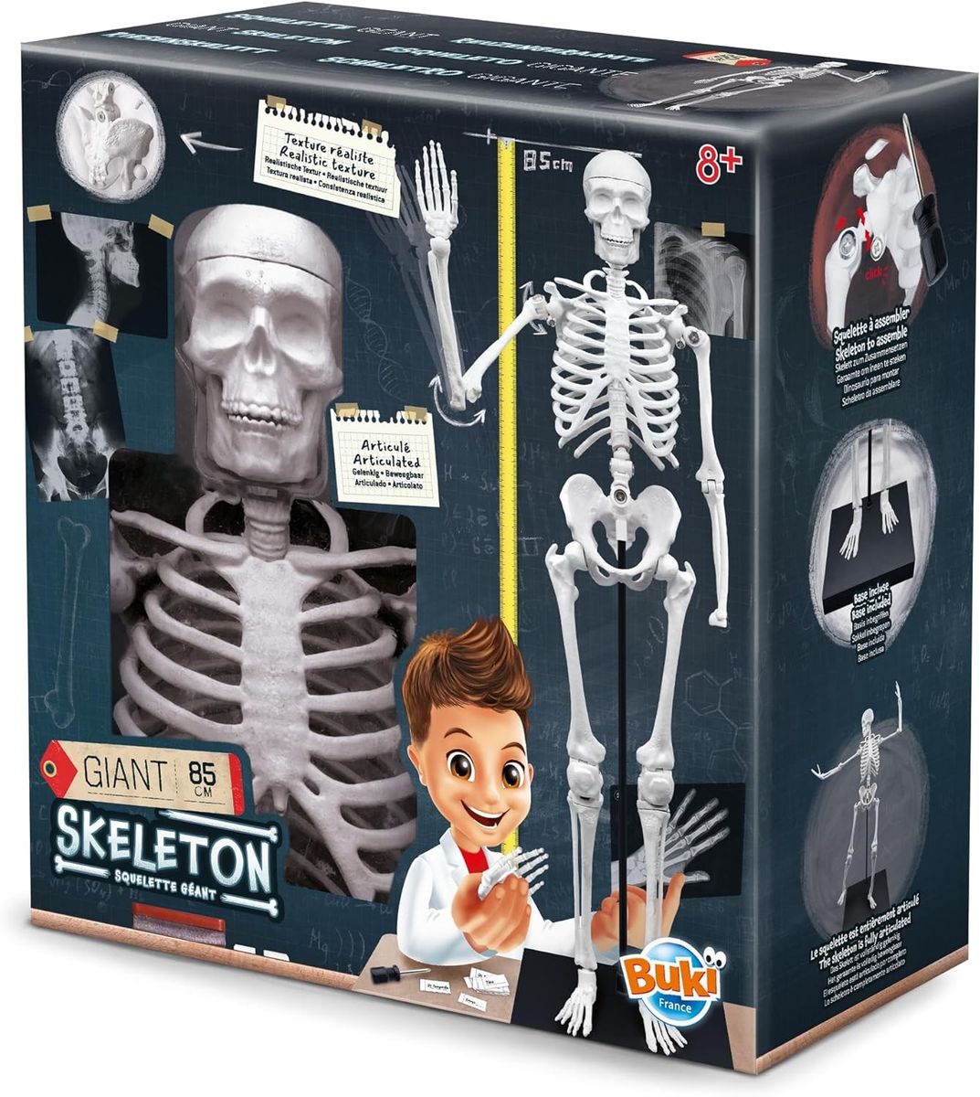 'BUKI France 2181 - Skeleton, Riesen Skelett 85 cm' kaufen - Spielwaren
