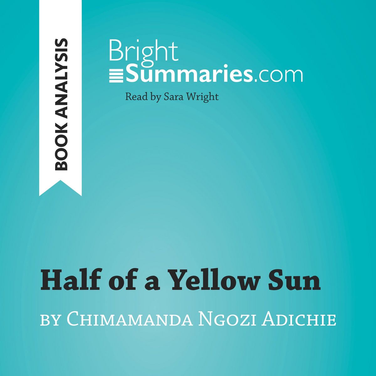 Half of a Yellow Sun by Chimamanda Ngozi Adichie (Book Analysis) von ...