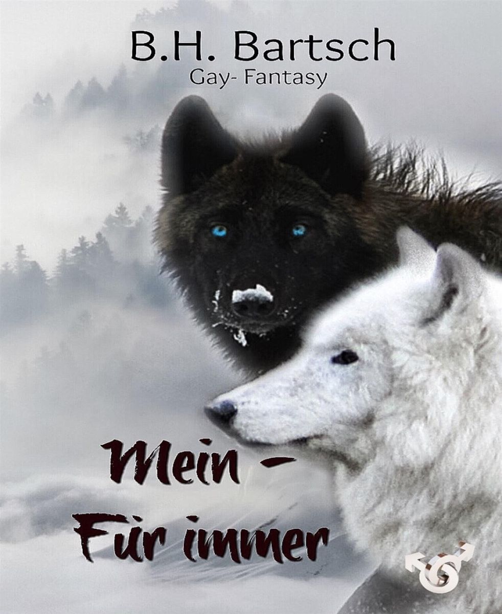 Mein - Für immer von B. H. Bartsch - eBook | Thalia