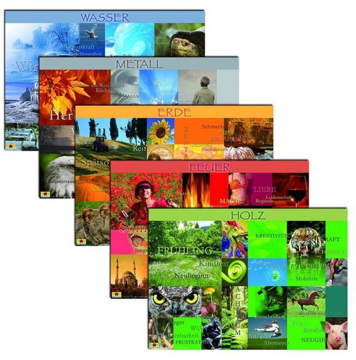 Fünf-Elemente-Schaubilder (Holz, Feuer, Erde, Metall, Wasser) DIN A3 ...