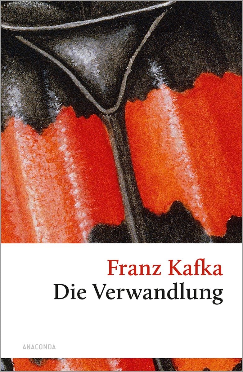 'Die Verwandlung' von 'Franz Kafka' - Buch - '978-3-938484-13-5'