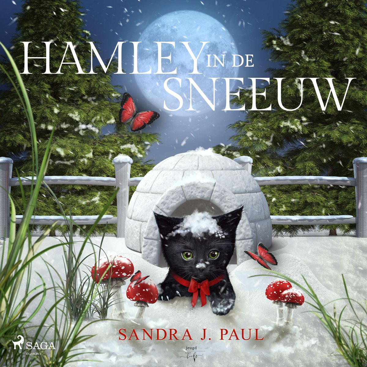 'Hamley in de sneeuw' von 'Sandra J. Paul' - Hörbuch-Download