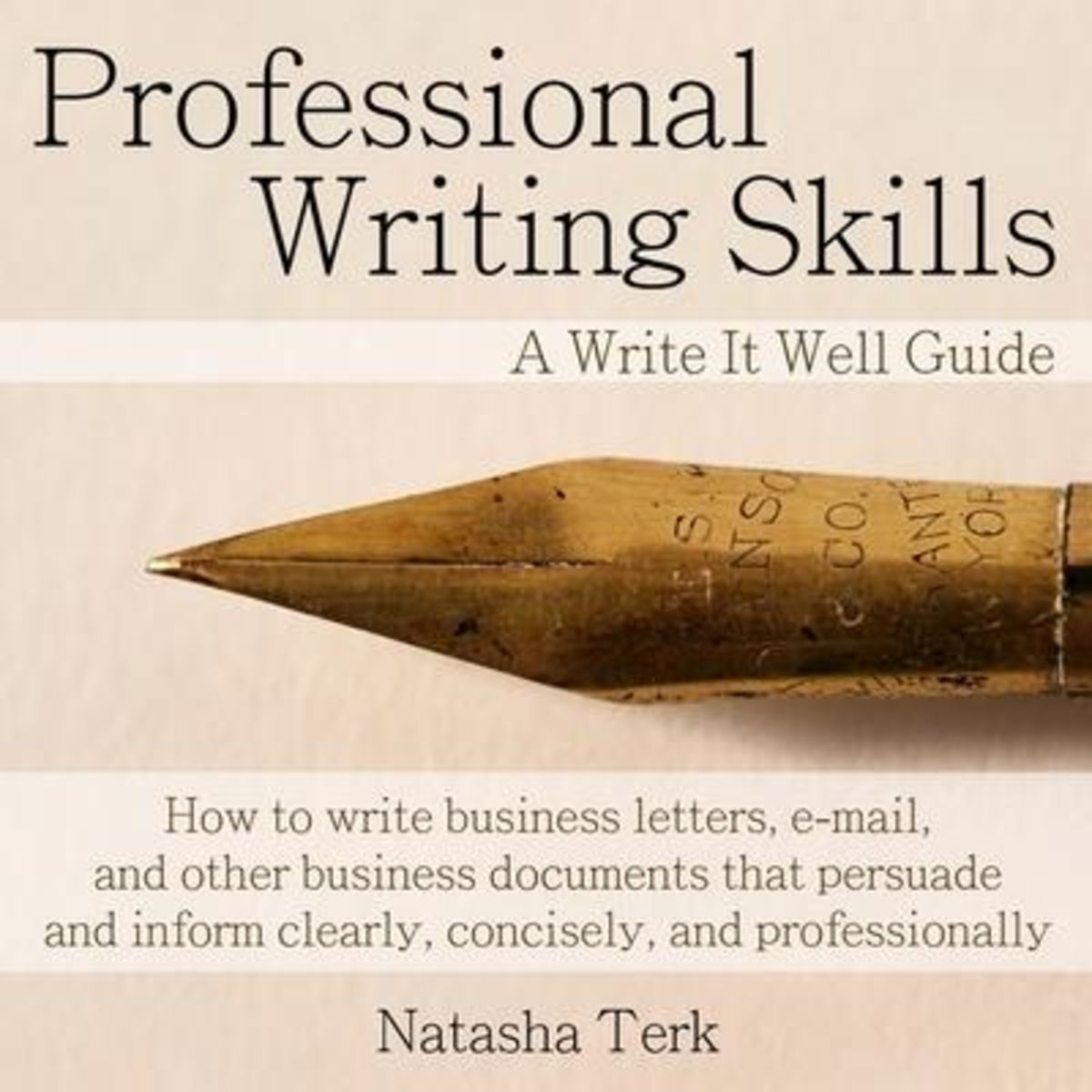 'Professional Writing Skills: A Write It Well Guide' von 'Natasha Terk ...