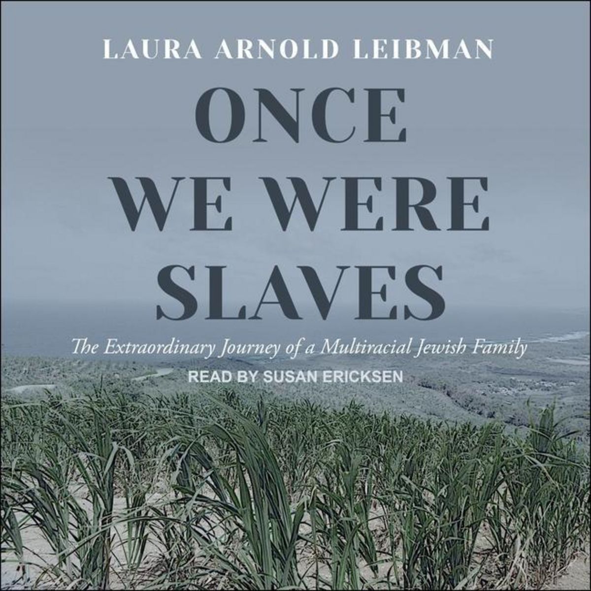'Once We Were Slaves: The Extraordinary Journey of a Multiracial Jewish ...