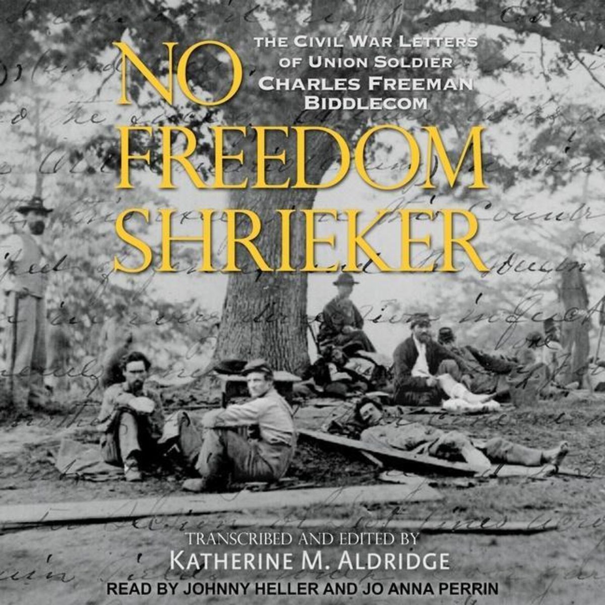 'No Freedom Shrieker Lib/E: The Civil War Letters of Union Soldier ...