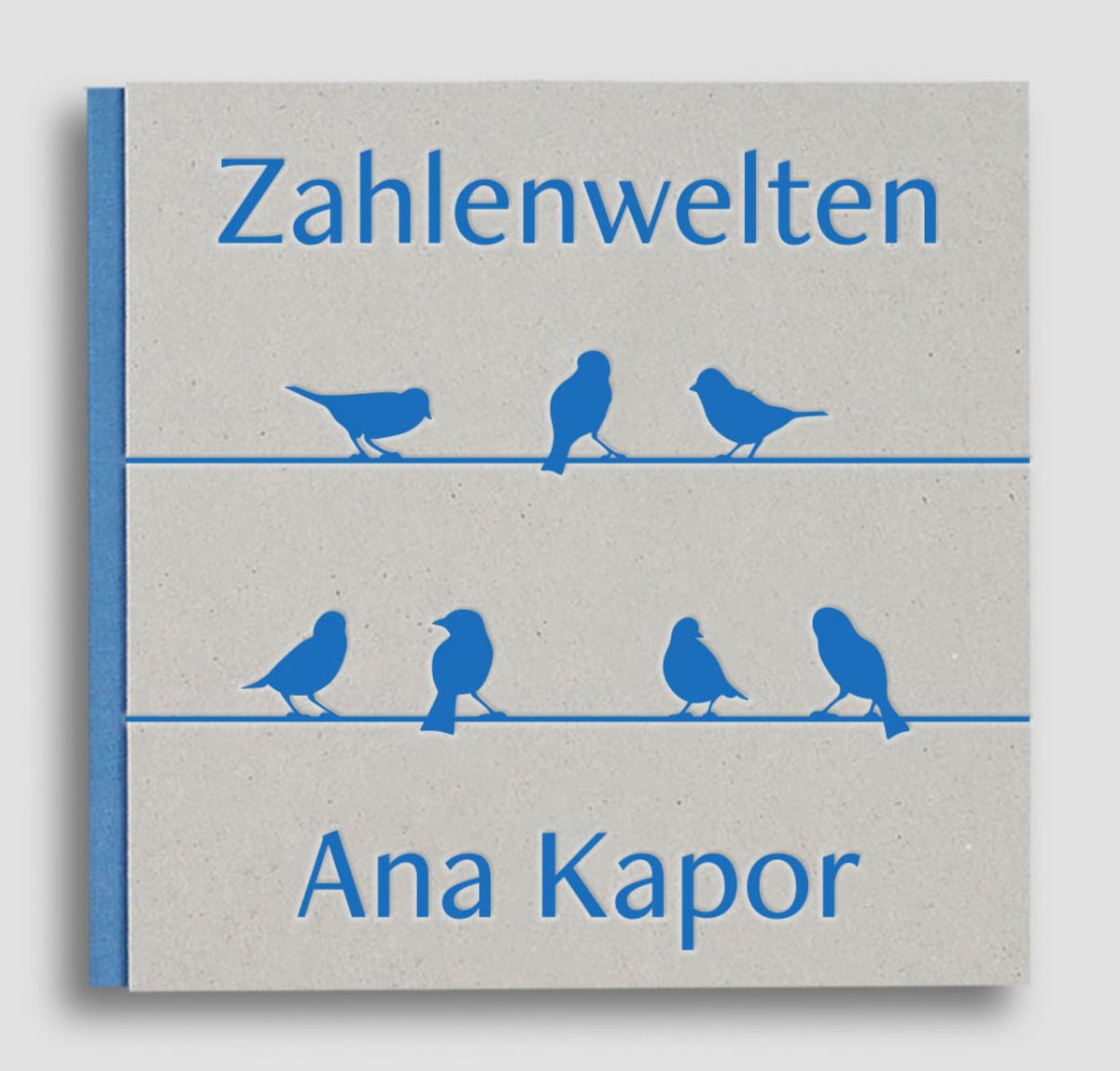 "Ana Kapor Zahlenwelten" online kaufen
