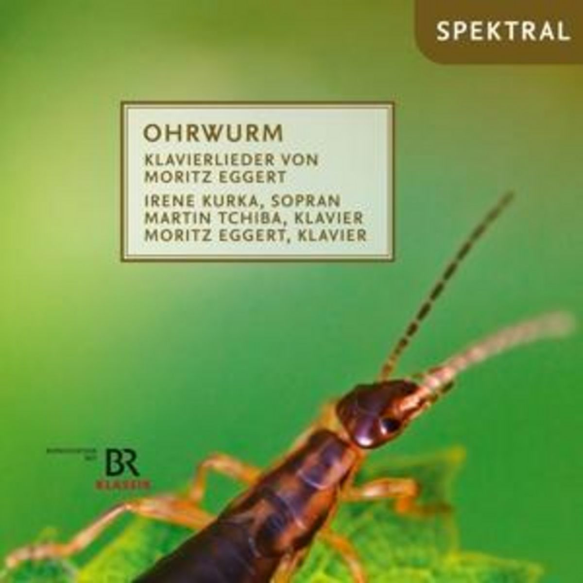 'Ohrwurm-Klavierlieder' von 'KURKA' auf 'CD' - Musik