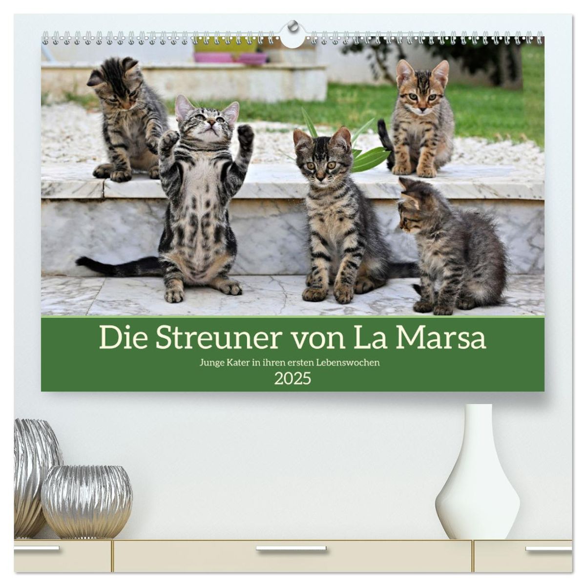 Die Streuner von La Marsa (hochwertiger Premium Wandkalender 2025 DIN ...