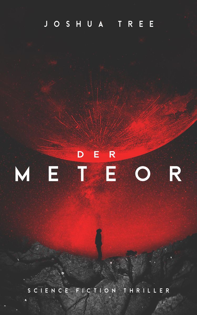 'Der Meteor' von 'Joshua Tree' - eBook